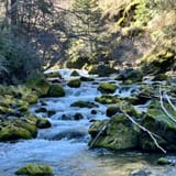 Rapid River Trail, Idaho - 260 Reviews, Map | AllTrails