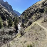 Rapid River Trail, Idaho - 260 Reviews, Map | AllTrails
