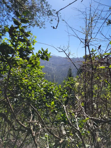 Best Walking Trails in Ferndale | AllTrails
