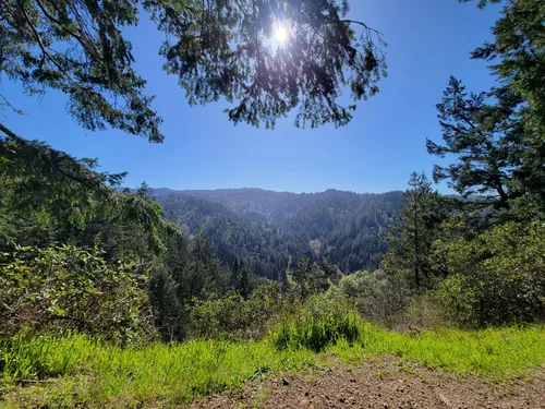 Best Walking Trails in Ferndale | AllTrails