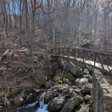Rose River Trail, Virginia - 4,418 Reviews, Map | AllTrails