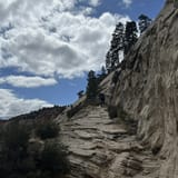 The Grotto Trailhead to The West Rim, Utah - 1,476 Reviews, Map | AllTrails