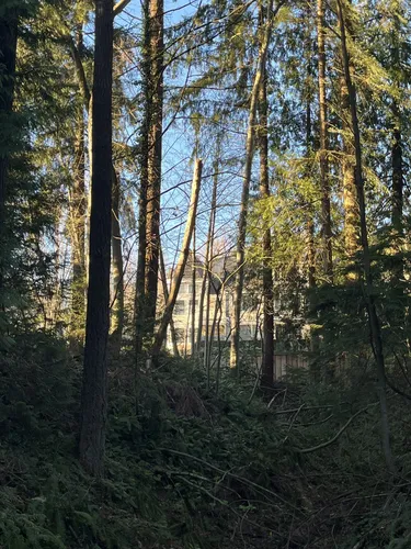 Best Hikes and Trails in Byrne Creek Ravine Park | AllTrails