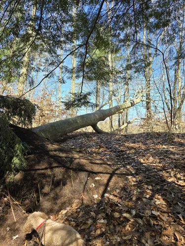 Best Hikes and Trails in Port Sheldon Natural Area | AllTrails