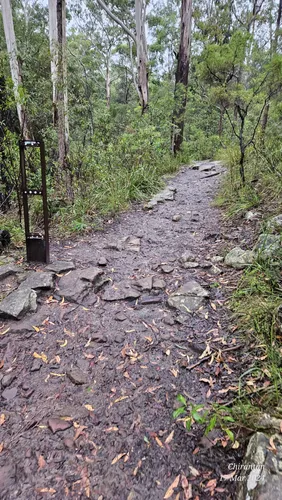 Best Walking Trails in Lake Parramatta Reserve | AllTrails