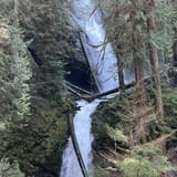 Murhut Falls Trail, Washington - 927 Reviews, Map | AllTrails