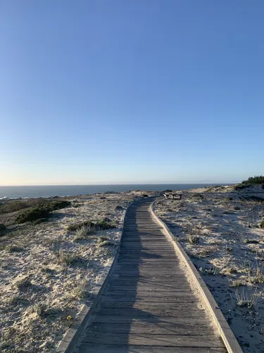 Best Hikes and Trails in Asilomar State Beach | AllTrails