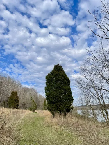 Best Walking Trails in Leopold | AllTrails