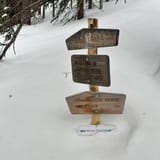 Nambe Lake Trail, New Mexico - 2,585 Reviews, Map | AllTrails