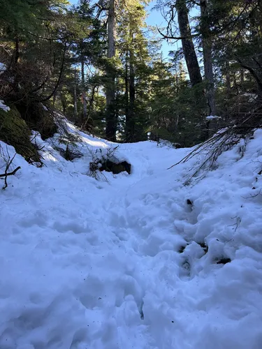 Best Hikes and Trails in Kitamaat Village | AllTrails