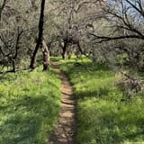 Picketpost Loop via Arizona Trail and L.O.S.T Trail, Arizona - 1,463 Reviews, Map | AllTrails