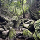 Mount Ishikawa Loop, Okinawa, Japan - 216 Reviews, Map | AllTrails