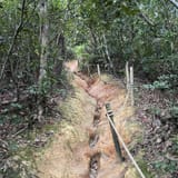 Mount Ishikawa Loop, Okinawa, Japan - 216 Reviews, Map | AllTrails
