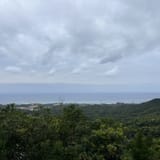 Mount Ishikawa Loop, Okinawa, Japan - 216 Reviews, Map | AllTrails