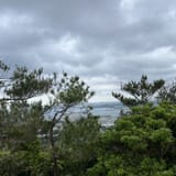 Mount Ishikawa Loop, Okinawa, Japan - 216 Reviews, Map | AllTrails