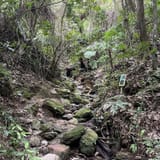 Mount Ishikawa Loop, Okinawa, Japan - 216 Reviews, Map | AllTrails