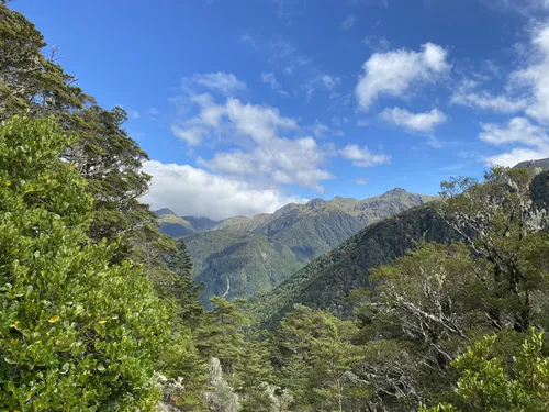 10 Best Hikes and Trails in Lewis Pass Scenic Reserve | AllTrails