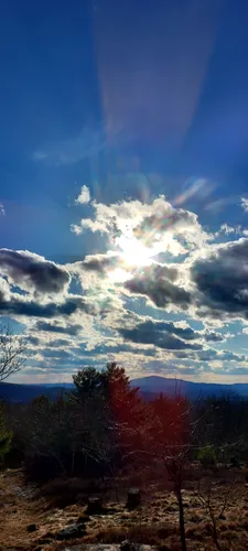 Best Hikes and Trails in Rose Mountain Preserve | AllTrails