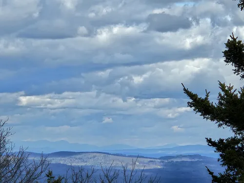 Best Hikes and Trails in Rose Mountain Preserve | AllTrails