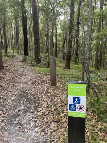 Best Moderate Trails in Eastern Escarpment Conservation Area | AllTrails
