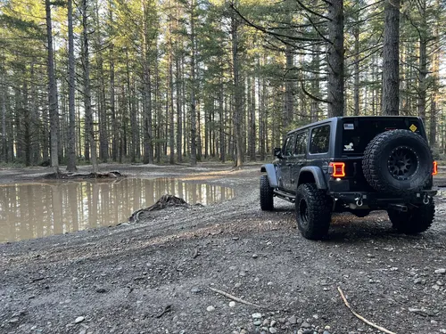 Best Easy Trails in Tahuya State Forest | AllTrails