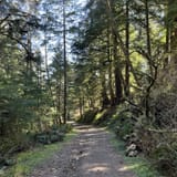 Clatsop Loop Trail from Indian Beach, Oregon - 2,616 Reviews, Map ...