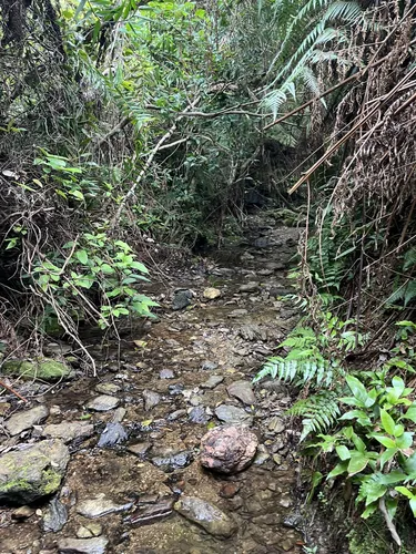 Uruma Shiminnomori Park: de beste routes om te wandelen | AllTrails