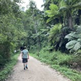 Burringbar to Burringbar Range Tunnel, New South Wales, Australia - 16 ...
