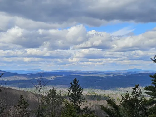 Best Hikes and Trails in Rose Mountain Preserve | AllTrails