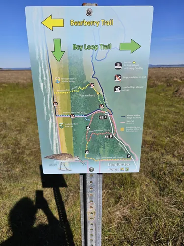 Best Kid Friendly Trails in Willapa National Wildlife Refuge | AllTrails