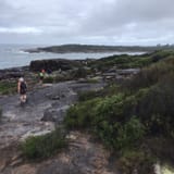 Tomaree Coastal Walk, New South Wales, Australia - 88 Reviews, Map ...