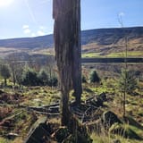 Longdendale Trail Circular, Derbyshire, England - 167 Reviews, Map ...