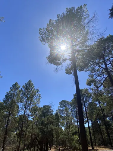 Best Hikes and Trails in Gnangara Pines | AllTrails
