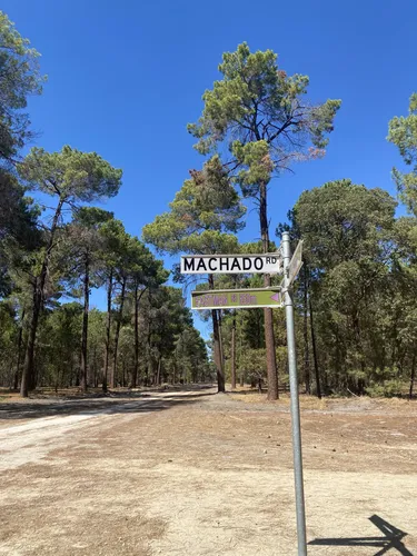 Best Hikes and Trails in Gnangara Pines | AllTrails