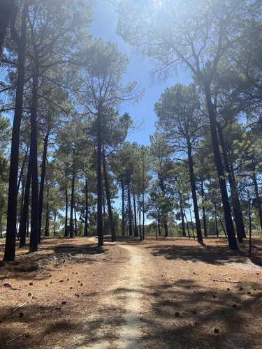Best Hikes and Trails in Gnangara Pines | AllTrails