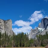 Sentinel Meadow Cook's Meadow Loop Trail, California - 3,006 Reviews ...