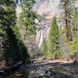 Sentinel Meadow Cook's Meadow Loop Trail, California - 3,006 Reviews ...