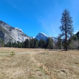 Sentinel Meadow Cook's Meadow Loop Trail, California - 3,006 Reviews ...