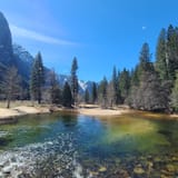 Sentinel Meadow Cook's Meadow Loop Trail, California - 3,006 Reviews ...