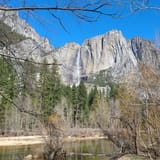 Sentinel Meadow Cook's Meadow Loop Trail, California - 3,006 Reviews ...