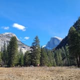 Sentinel Meadow Cook's Meadow Loop Trail, California - 3,006 Reviews ...