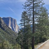 Sentinel Meadow Cook's Meadow Loop Trail, California - 3,006 Reviews ...
