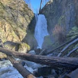 Susan Creek Falls Trail, Oregon - 482 Reviews, Map | AllTrails