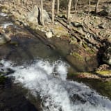 Crabtree Falls Trail, Virginia - 2,155 Reviews, Map | AllTrails