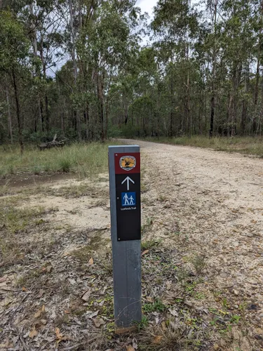 Best Hikes and Trails in Jordan Springs | AllTrails