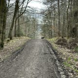 Chopwell Woods and River Derwent Circular, Tyne and Wear, England - 313 ...