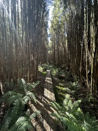 Best Hikes and Trails in Ada River Sawmill Historical and Cultural ...