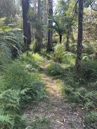 Best Hikes and Trails in Ada River Sawmill Historical and Cultural ...
