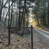 Old Loggers Path, Pennsylvania - 672 Reviews, Map | AllTrails