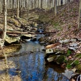 Old Loggers Path, Pennsylvania - 672 Reviews, Map | AllTrails